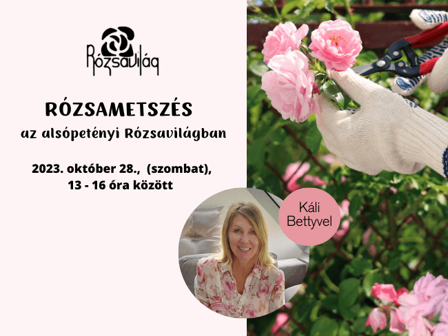 Rózsavilág, Őszi Rózsa Nap: Rózsametszés! – Rózsavilág